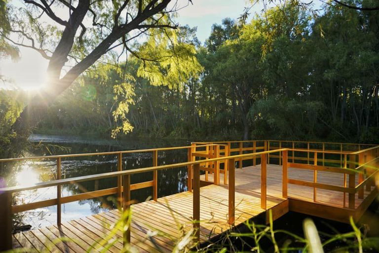 Jardín Botánico de Plottier, un lugar soñado para descubrir | Neuquén ...